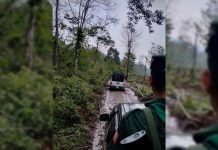 News Archives - Shan Herald Agency for News