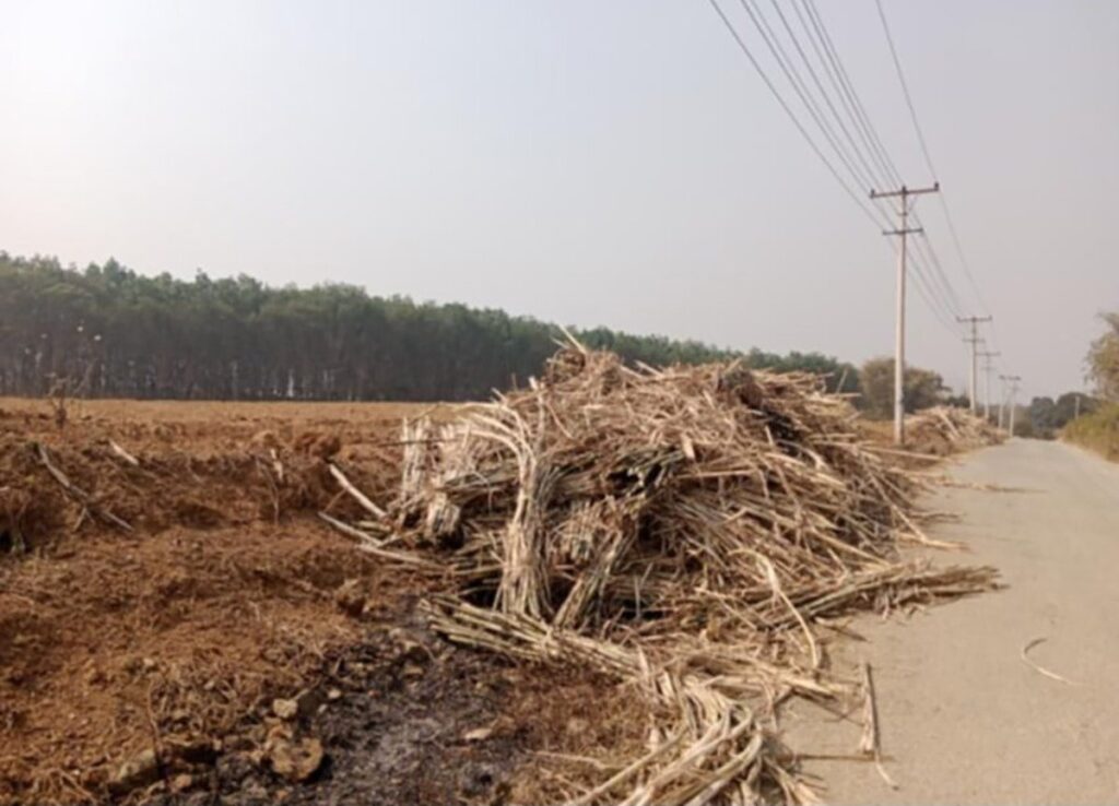 MNDAA Forces Land Leases in Hsenwi Township for Banana Plantations ...