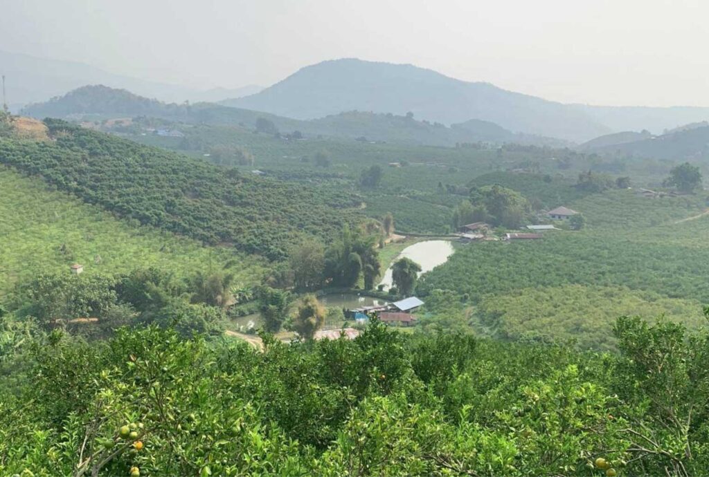 Myanmar’s war refugees flee conflict, face toxic orange orchards - Shan ...